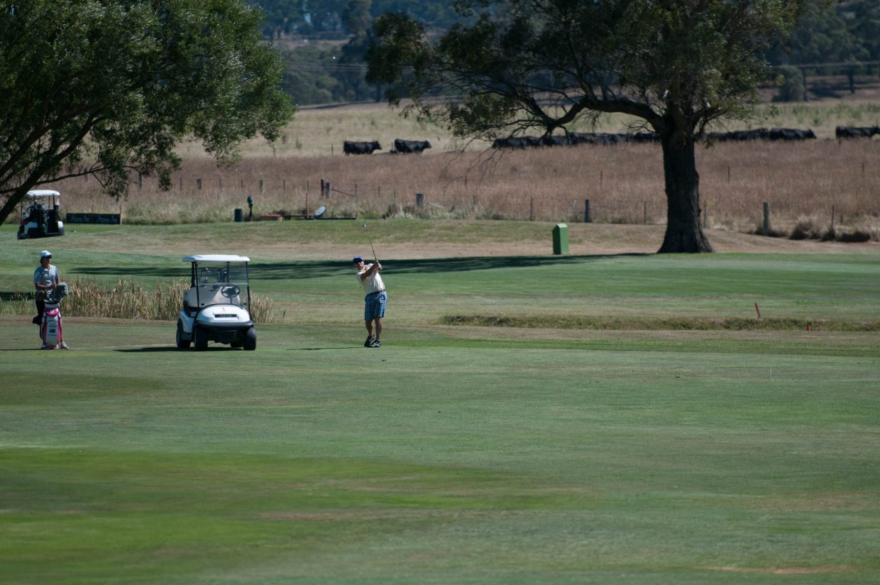 The Layout – Mount Broughton